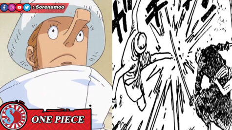 One Piece 1072: Zoro Menang Mudah, Simak Daftar Lengkap Kemampuan Kaku ...