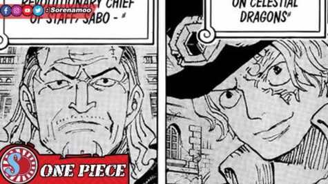 Raw dan Spoiler Manga One Piece 1085 Bahasa Indonesia: Kekuatan Imu ...