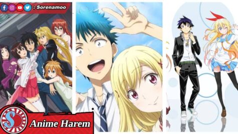 10 Rekomendasi Anime Genre Harem Terbaik yang Bagus untuk Ditonton ...