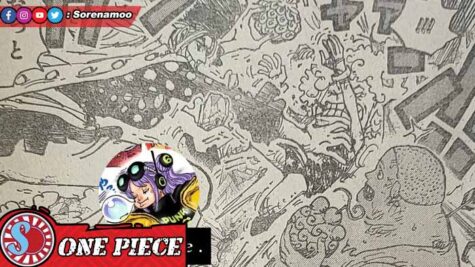 Raw One Piece 1096: Awal Mula Bartholomew Kuma Dapatkan Paw Paw Devil ...